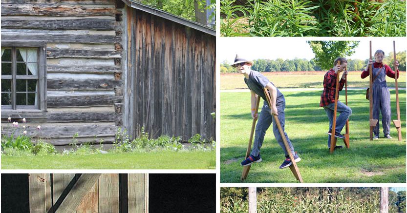 Homestead Sunday: Bees and Pollinators | Great Lakes Bay Regional ...