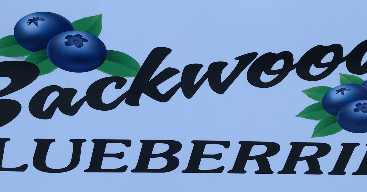 Backwoods Blueberries | Go Great Lakes Bay