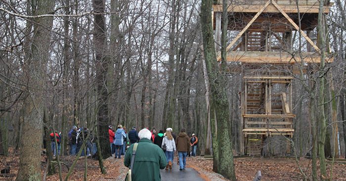 Tobico Marsh | Great Lakes Bay Regional Convention & Visitors Bureau