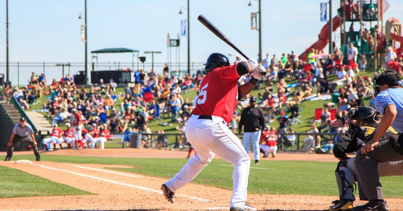 Great Lakes Loons Minor League Baseball | Great Lakes Bay Regional ...