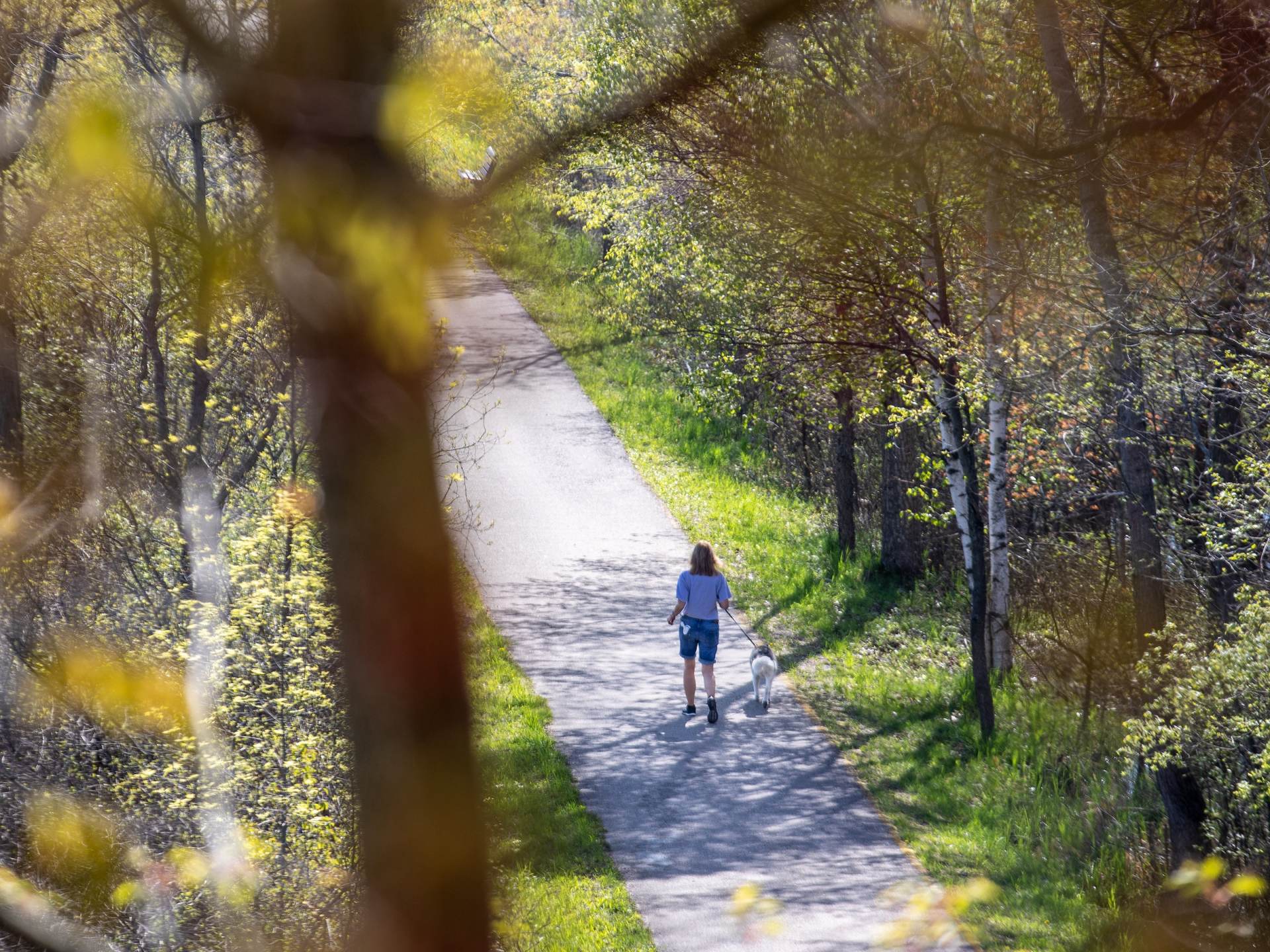 Great Lakes Bay Trails | Outdoor Recreation, Hiking & Biking | Great ...