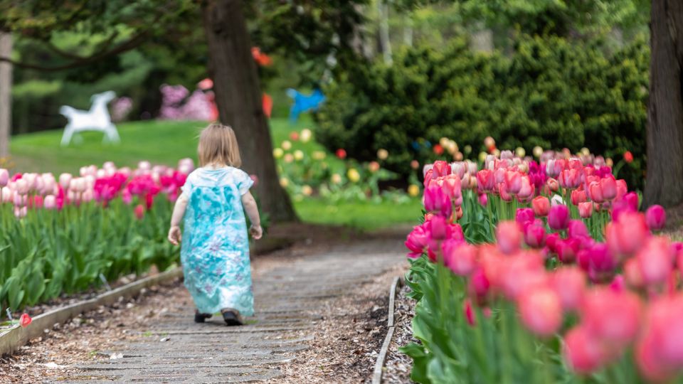 Midland, Michigan | Events, Attractions & Accommodations | Great Lakes ...