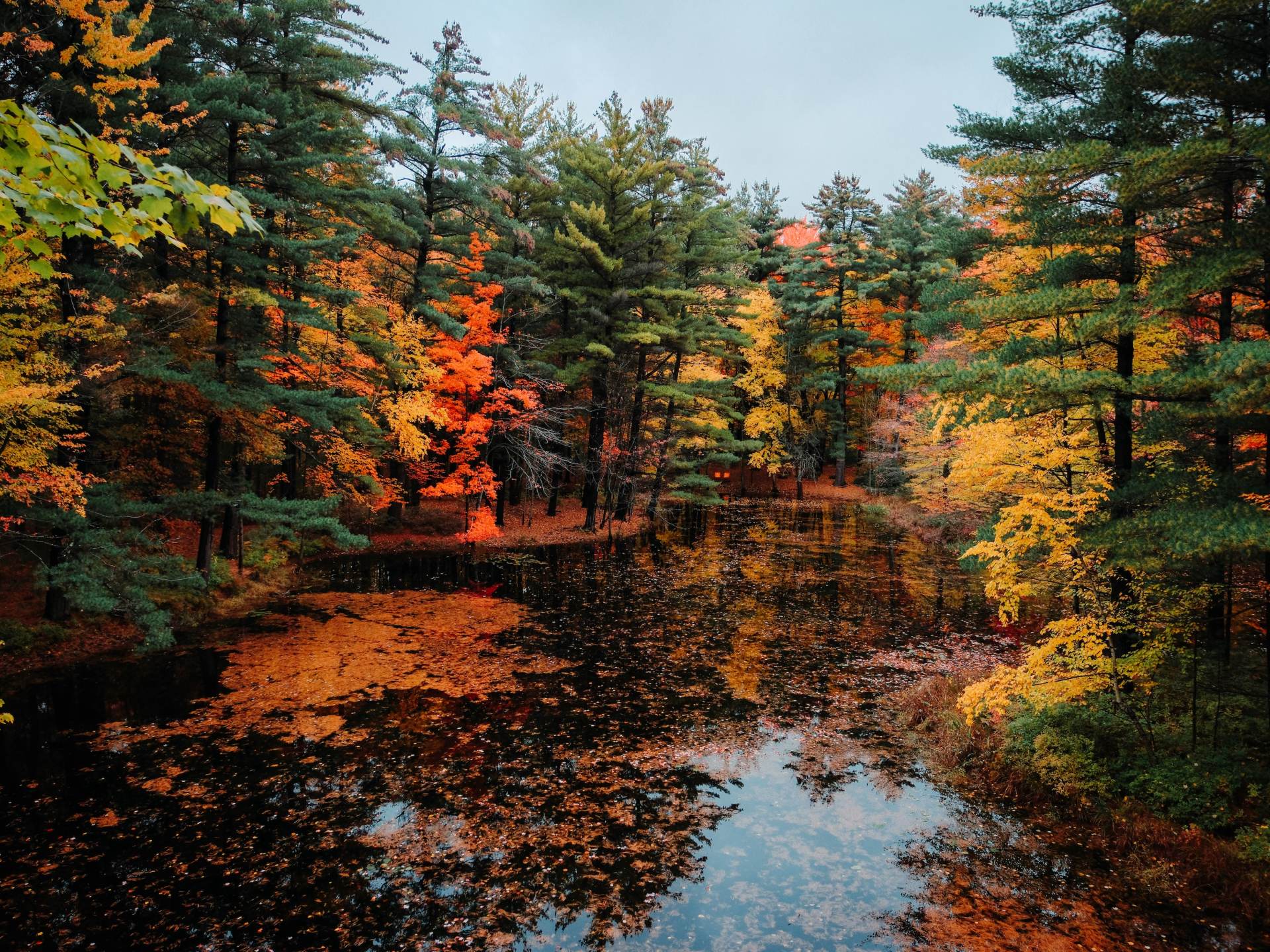 Beautiful Fall Scenery 40 Best Places To Visit In The Fall For Peak