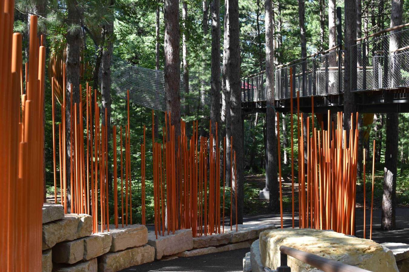 Explore the Nation's Longest Canopy Walk in Midland, Michigan | Great ...