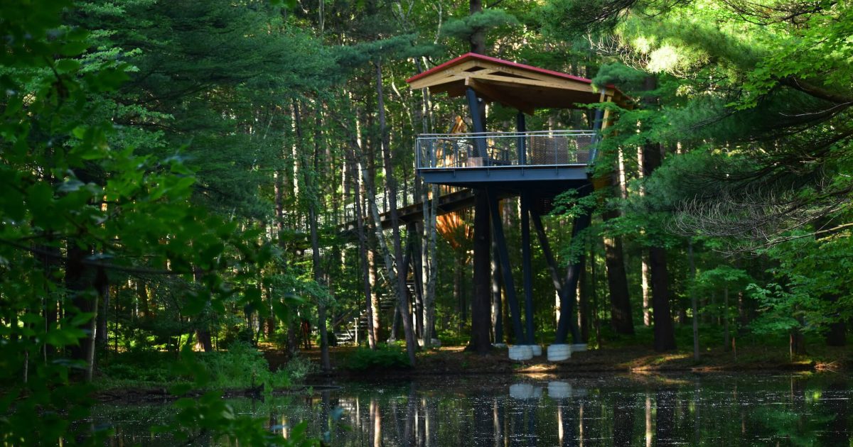 Explore the Nation's Longest Canopy Walk in Midland, Michigan | Great ...