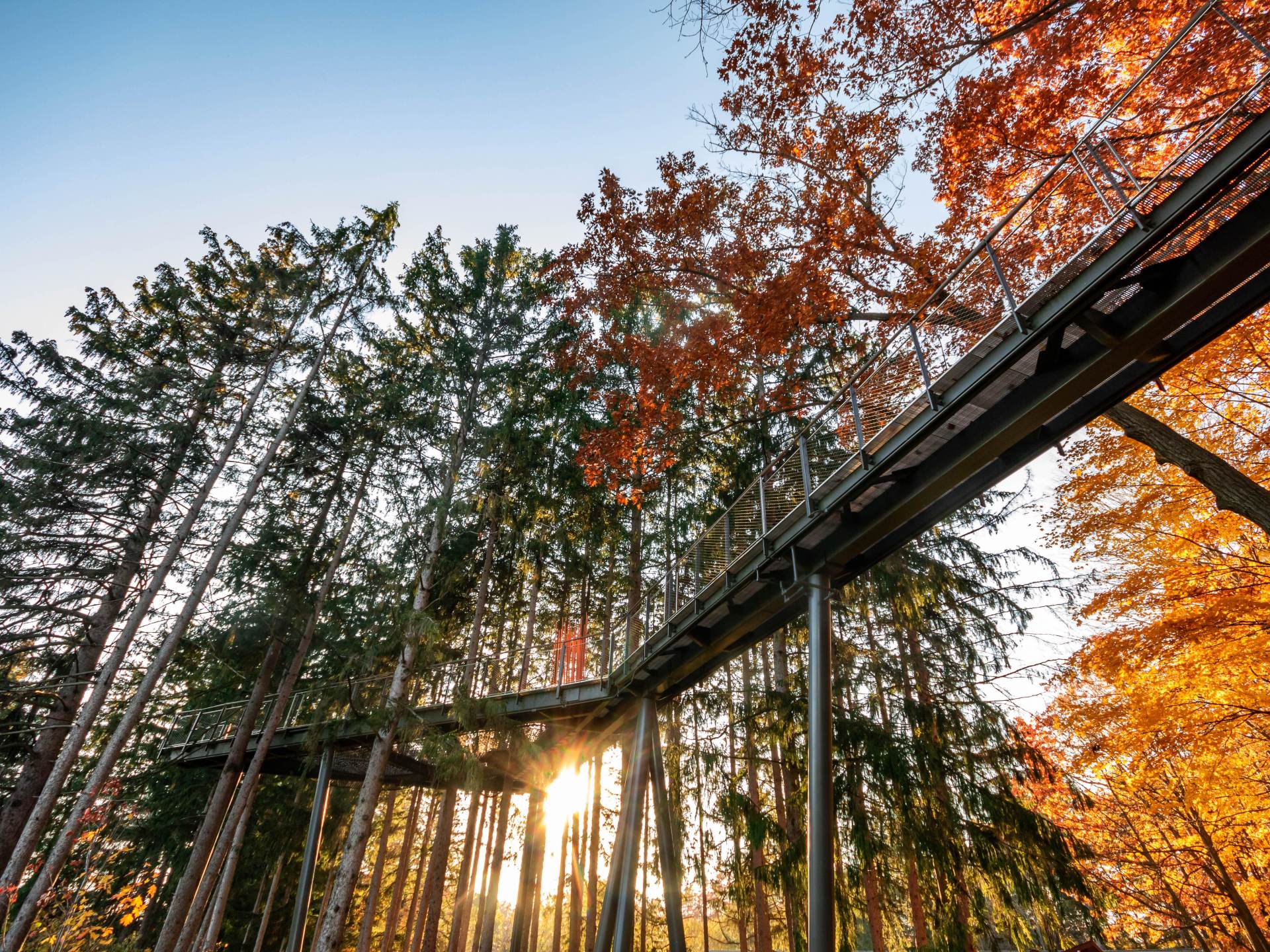 Top Fall Outdoor Attractions in the Great Lakes Bay | Great Lakes Bay ...