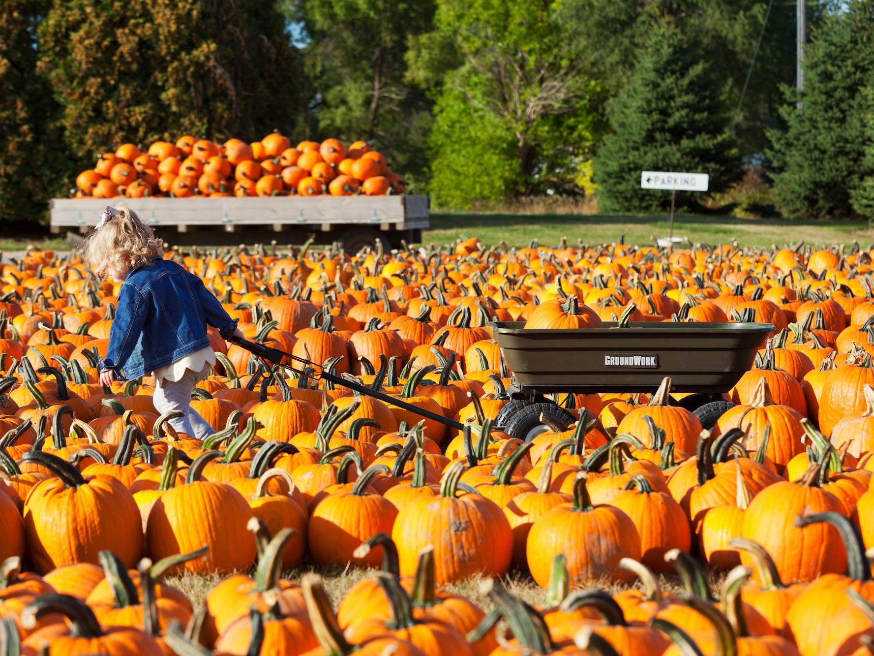 Top Fall Things To Do With Kids In Pure Michigan s Great Lakes Bay