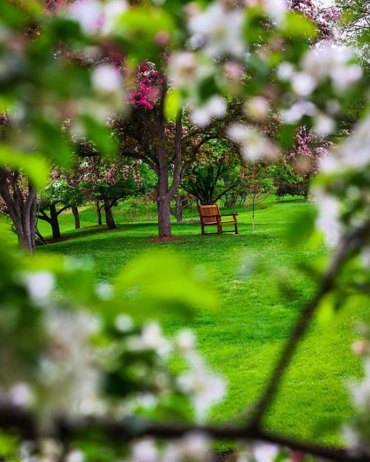 Top Spring Trip Ideas in the Great Lakes Bay | Great Lakes Bay Regional ...