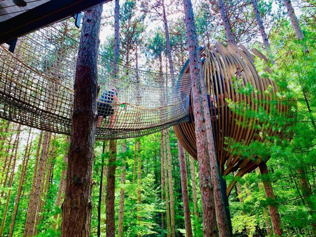 Top Things to Do in Chesaning, MI | Vacation Ideas in Chesaning ...