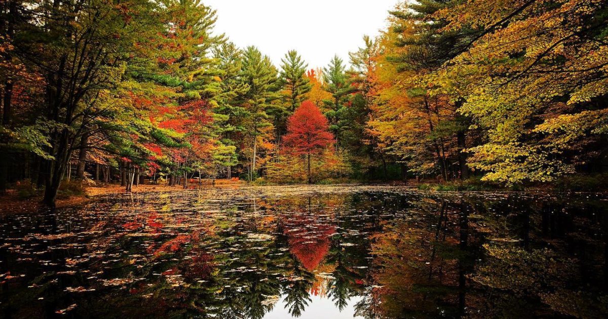Best Places to See Fall Color in Pure Michigan's Great Lakes Bay Region ...