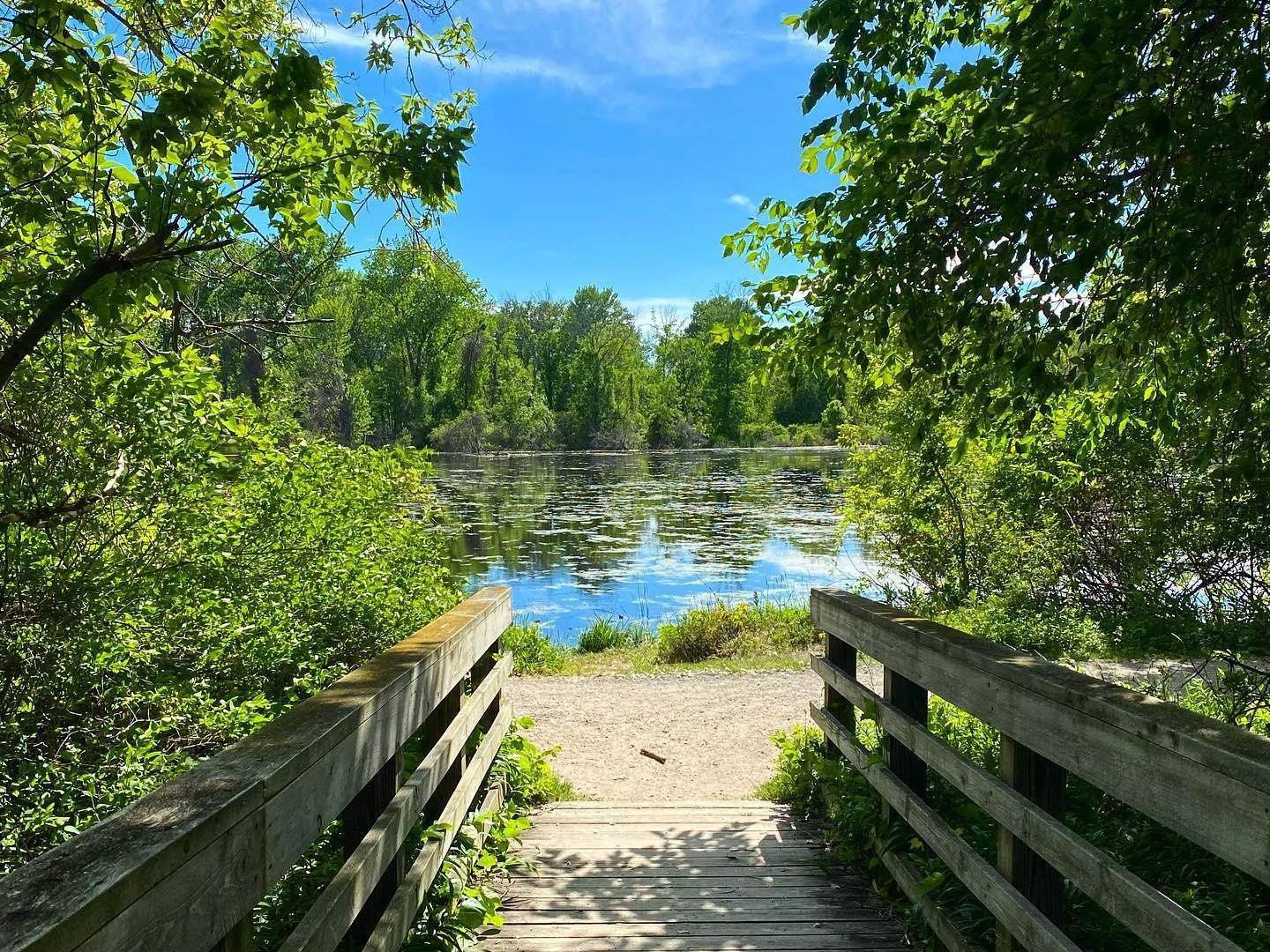 Top Things to Do this Summer in the Great Lakes Bay | Great Lakes Bay ...